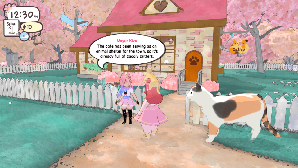 Calico Nintendo Switch™